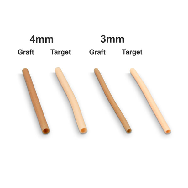 Pocket Vessel Anastomosis Trainer (#1389) - The Chamberlain Group