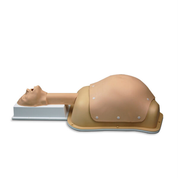 High Fidelity CT Surgical Trainer (#1543) - The Chamberlain Group