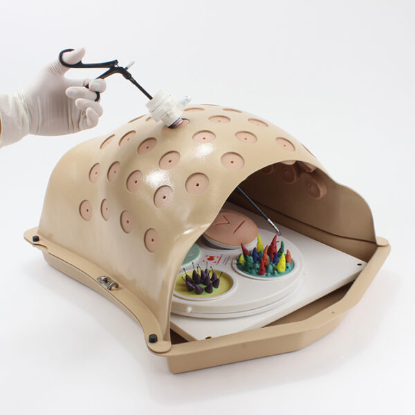 Insufflated Abdomen with Ports (#2213) - The Chamberlain Group